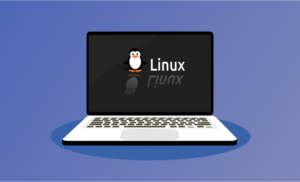 Linux: An Introduction to the Powerful Operating System